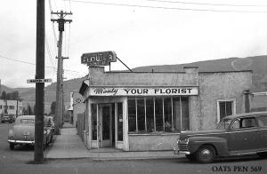 Archivos - PEN 569 | Monty the Florist